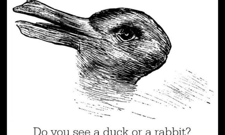 10 Optical Illusions & Visual Puzzles With Answers | RiddlesPuzzle
